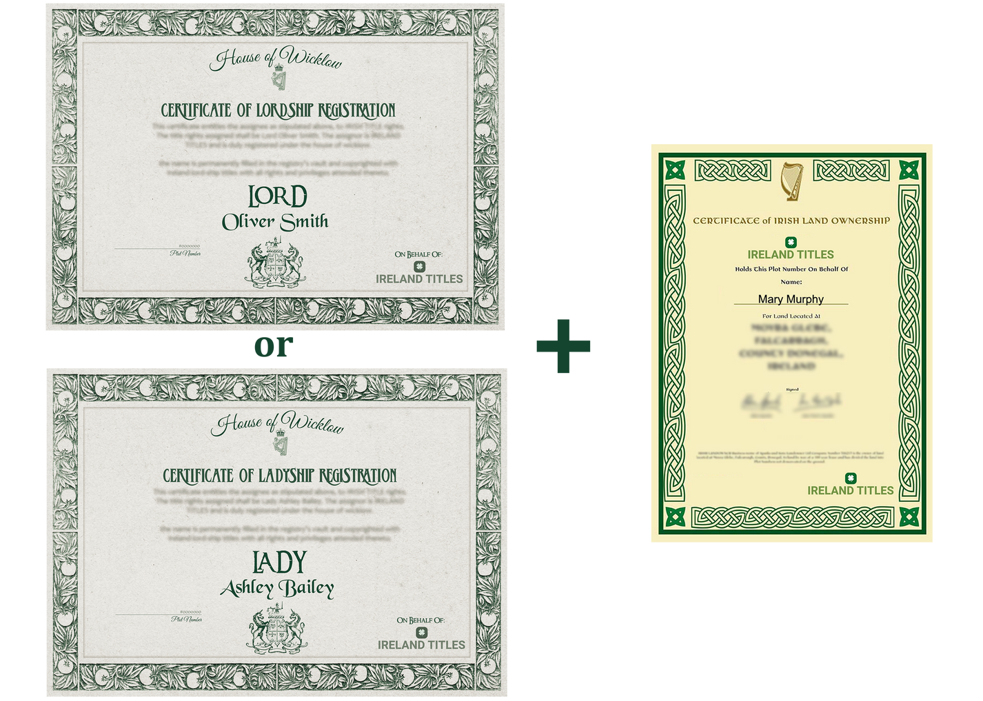 Ireland Titles - Lordship (Lord) or Ladyship (Lady) Title Pack